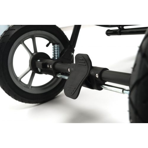 Multi-functional buggy Gemini